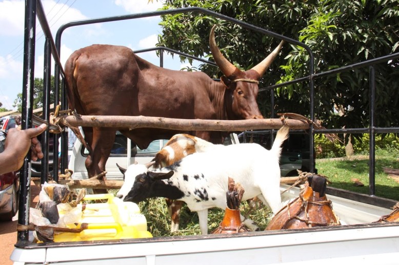 Cultural Immersion Trips – Learn Luganda