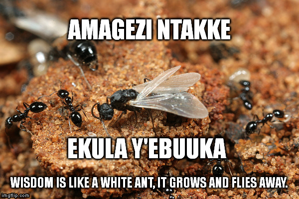 Memes – Learn Luganda