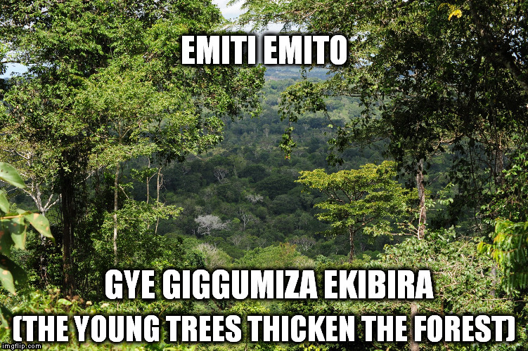 Memes – Learn Luganda